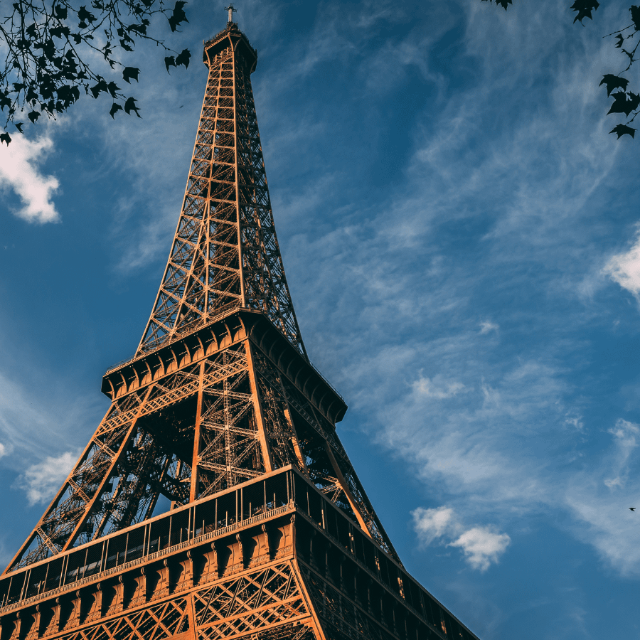 SACE International/SAM French (continuers) (E-exam) Tutor | Online and ...